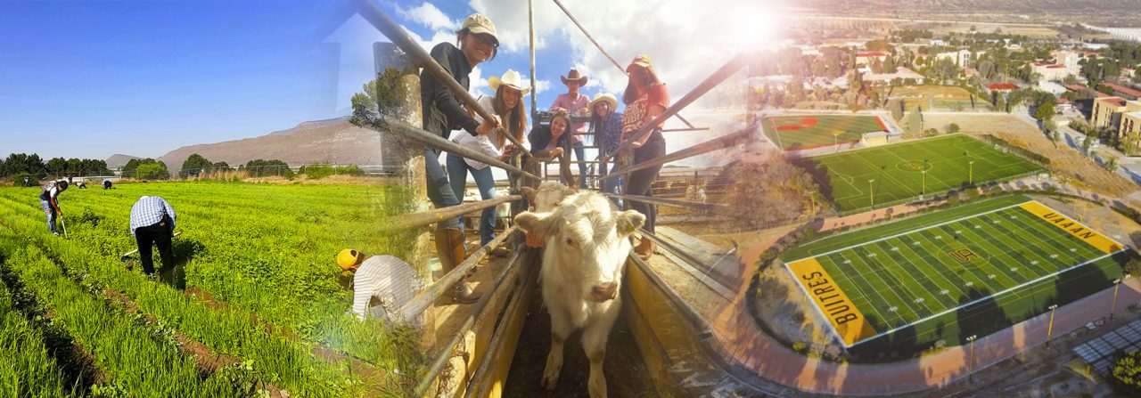 SEDE | Centenario - Universidad Autónoma Agraria Antonio Narro